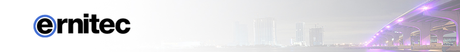 Ernitec W128306072 NDAA Compliance Wolf Turret 5Mp IR40m IP66 PoE