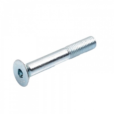 SSP 54MMARM M8 armature bolt 54mm long