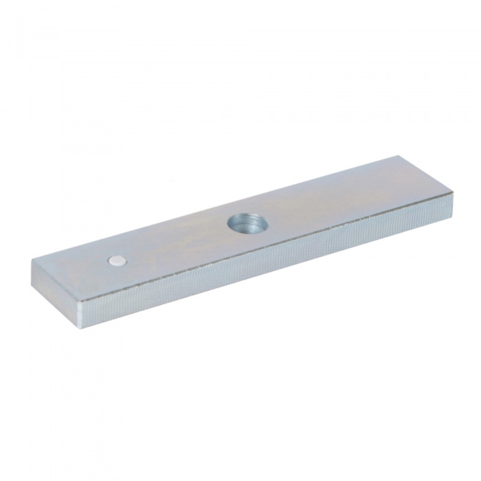 RGL Electronics ARM600 Spare armature plate